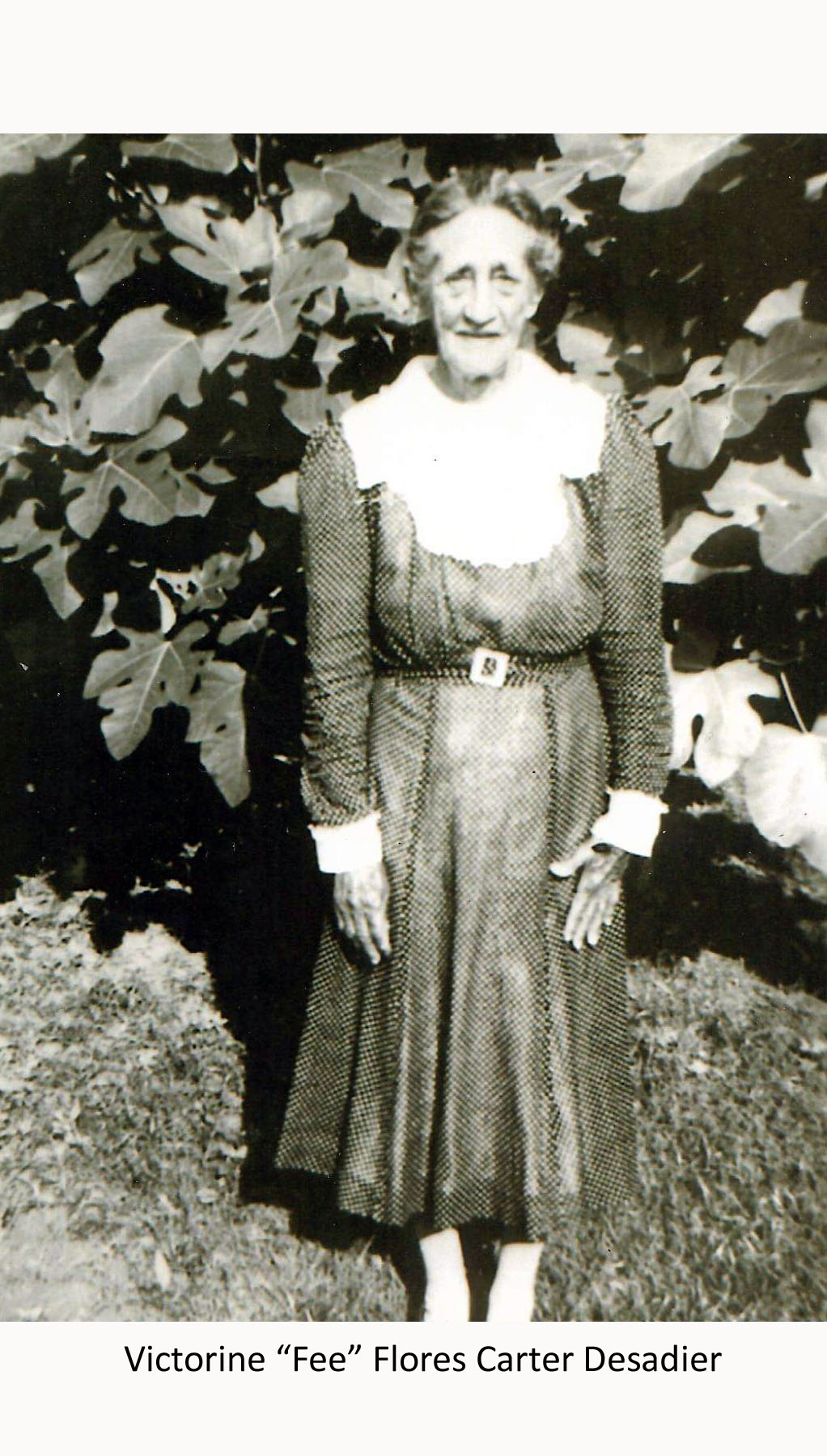 Adolph Felix Desadier – 4th Chief of Butte Tribe of Bayou Bourbeaux